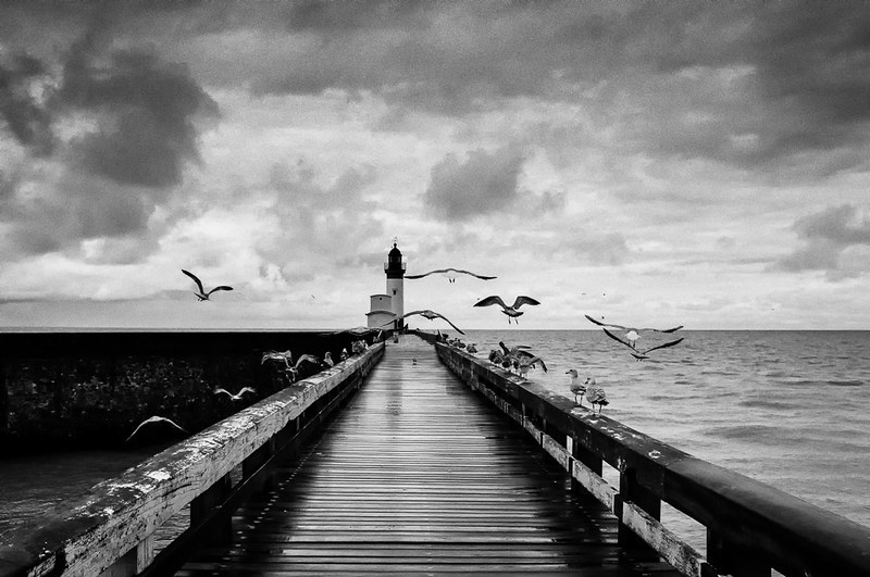 The Artistic Perspective on Life: Viewing the World in Black and White ...